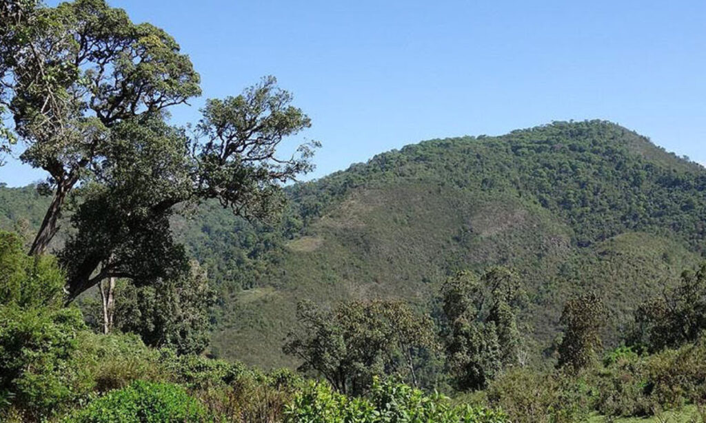 Day Hike to Mount Kipipiri – Take Me Out